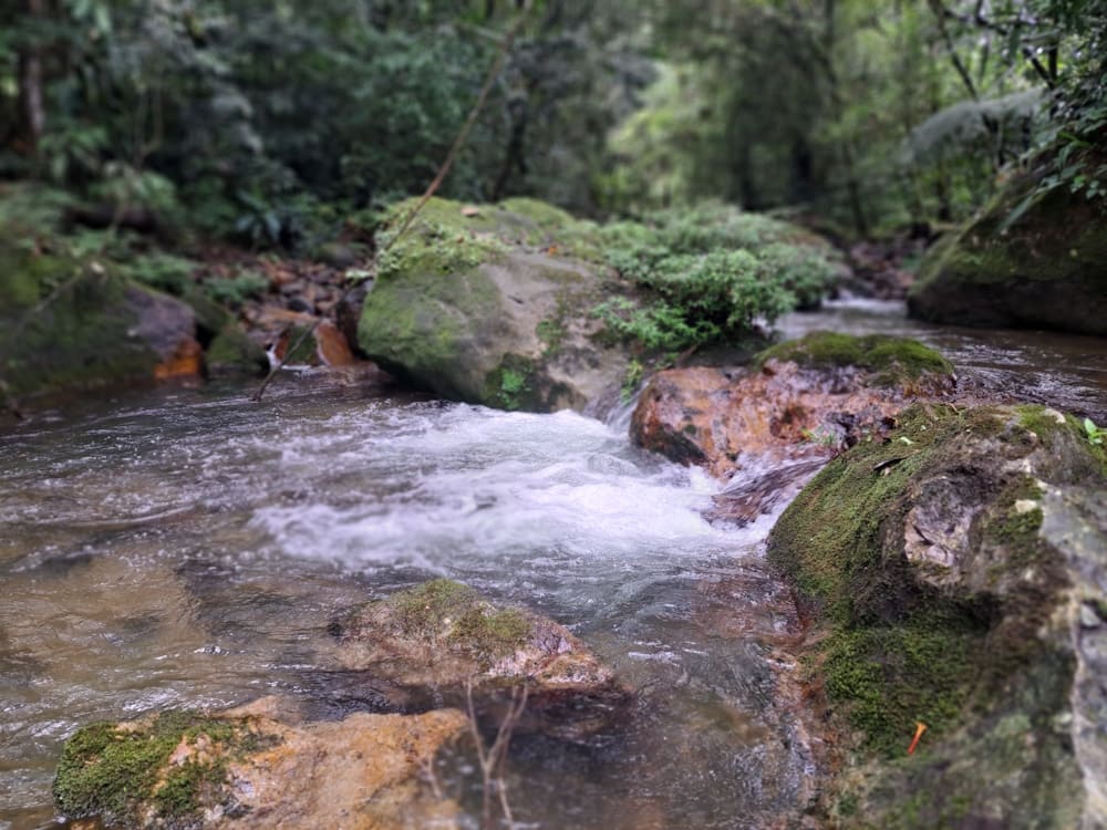 Plantean río Indio, como la opción más viable para garantizar agua a la ...