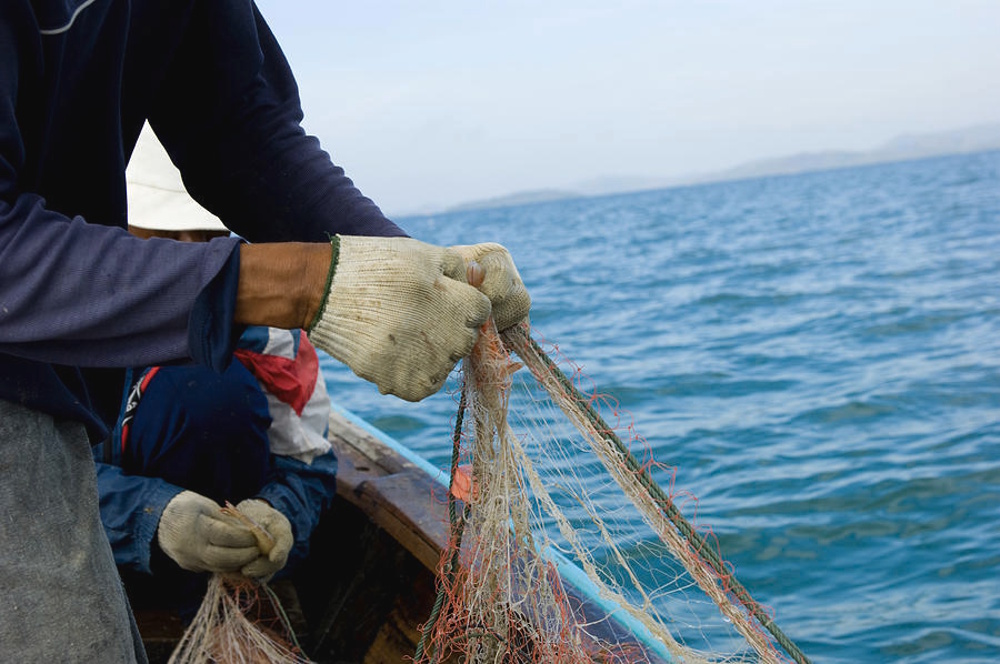 Especialistas de México presentan innovadora red de pesca sostenible en ...